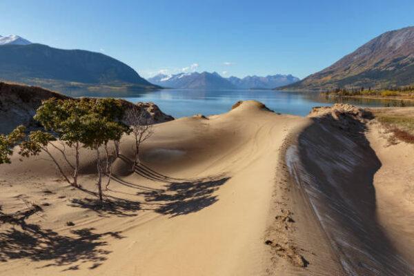 The Lazy Man’s Guide To ‘Carcross Desert’ Canada – Geo-Tourism