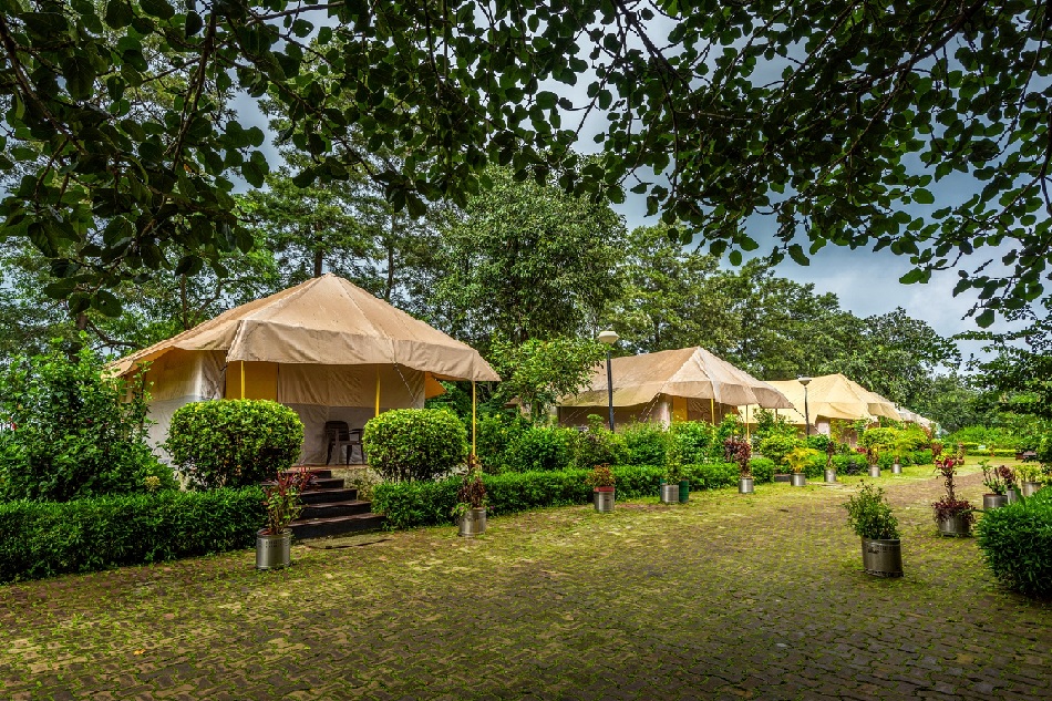 Amarkantak-The Holy Abode of Rivers and Sacred Landscapes – Geo-Tourism