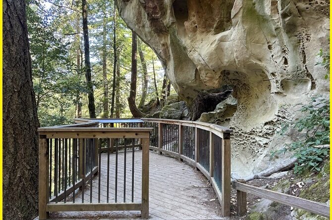 Nature's Masterpiece: Tafoni Sandstone Monolith of Redwood City ...